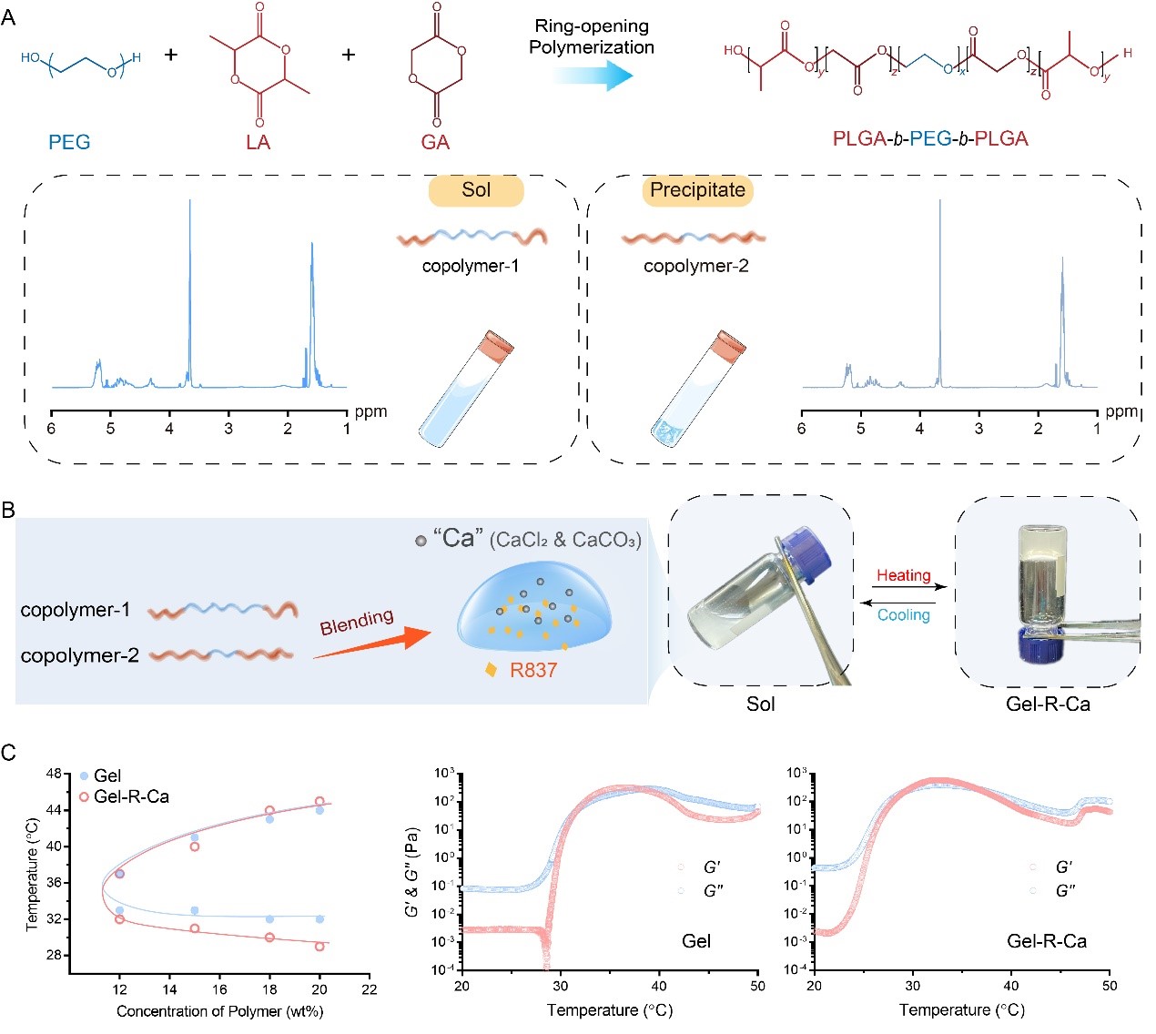 Ding’s Group Developed a Unified Therapeutic-Prophylactic Vaccine