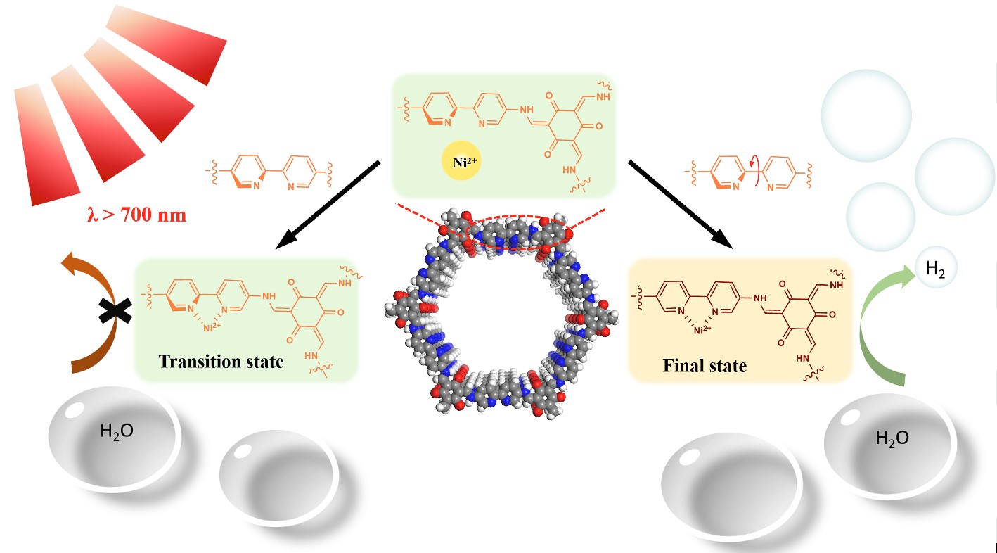 郭佳教授团队Angew. Chem. Int. Ed.：COF负载单原子镍实现全色谱光催化析氢