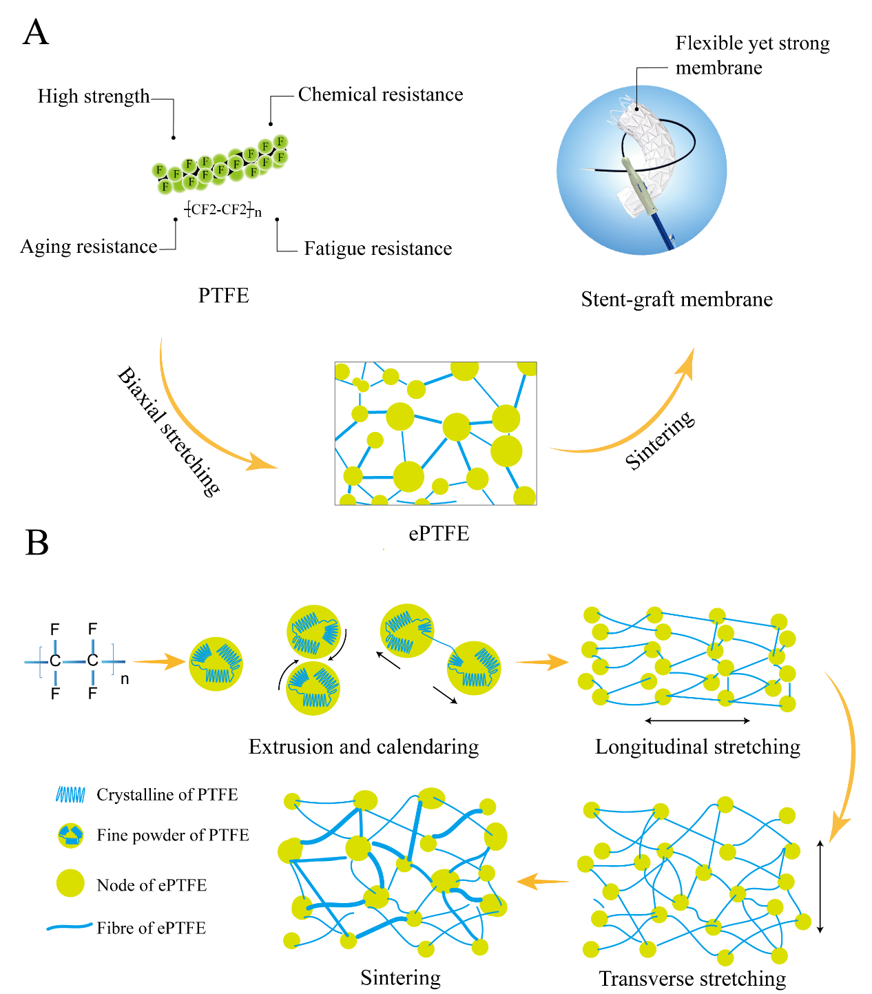 Biaxial stretching of polytetrafluoroethylene in industrial scale to fabricate medical ePTFE ...